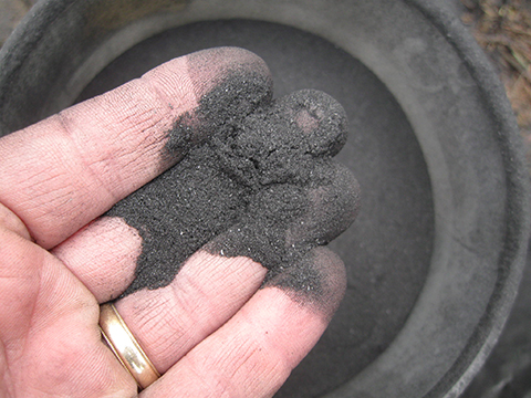 Biochar: from the Amazon basin to backyards - Lawn & Landscape