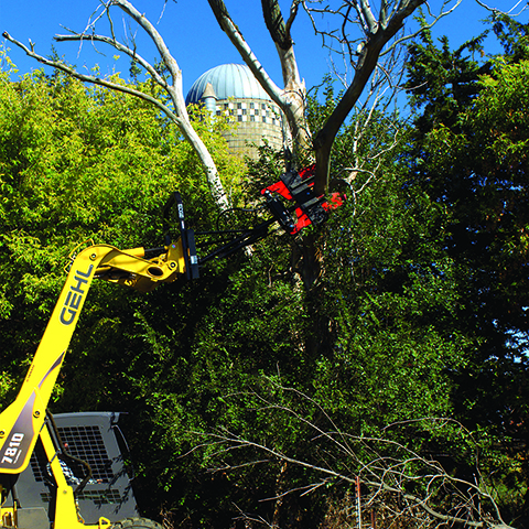 Edge Heavy-Duty High Reach Clipper - Lawn & Landscape