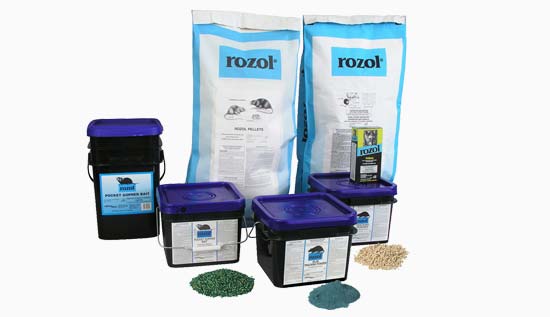 Rozol Pocket Gopher Bait - Lawn & Landscape